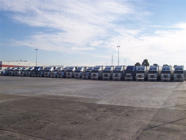 Our Fleet – Palm Trans